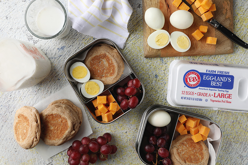 Family and Kid Friendly Recipes | YMCA